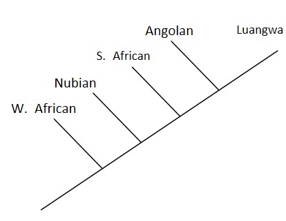 Comparing Traits and Molecular Data to the Structure of a Phylogenetic ...