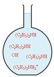 Identifying Weak Bases from a Sketch Practice | Chemistry Practice ...