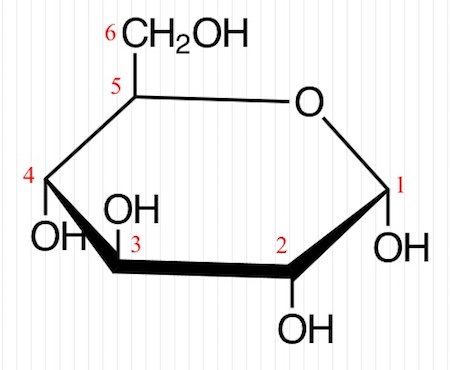 Drawing the Haworth Projection of an Aldose from Its Fischer Projection ...