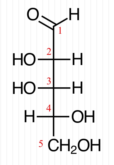Drawing the Haworth Projection of an Aldose from Its Fischer Projection ...