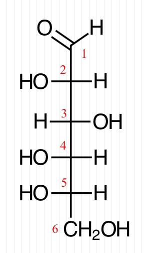 Drawing the Haworth Projection of an Aldose from Its Fischer Projection ...