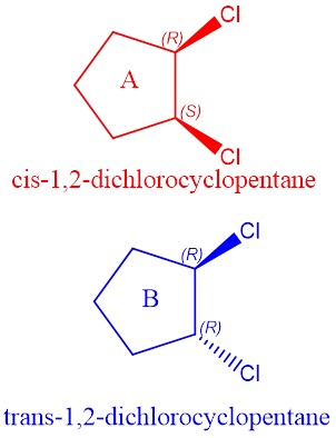 (1)Build models of cis-1,2-dichlorocyclopentane and trans-1,2 ...