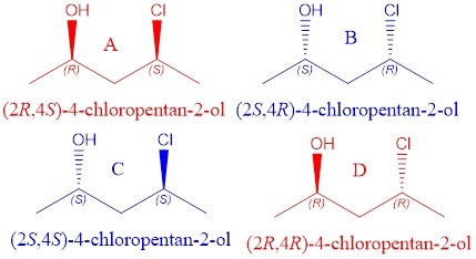 (1)Build models of cis-1,2-dichlorocyclopentane and trans-1,2 ...