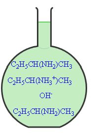 Identifying Weak Bases from a Sketch Practice | Chemistry Practice ...