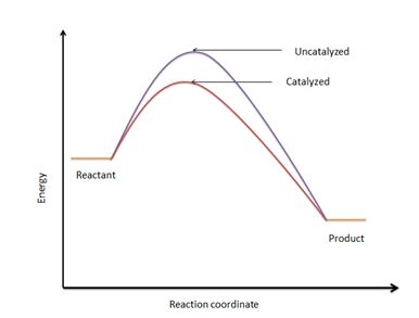 Determining How a Catalyst Increases Rate of a Reaction by Lowering the ...
