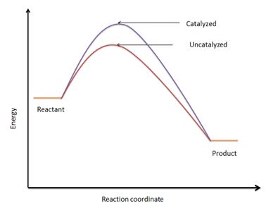 Determining How a Catalyst Increases Rate of a Reaction by Lowering the ...