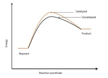 Determining How a Catalyst Increases Rate of a Reaction by Lowering the ...