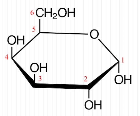Drawing the Haworth Projection of an Aldose from Its Fischer Projection ...