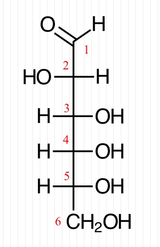 Drawing the Haworth Projection of an Aldose from Its Fischer Projection ...