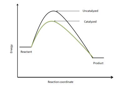 Determining How a Catalyst Increases Rate of a Reaction by Lowering the ...