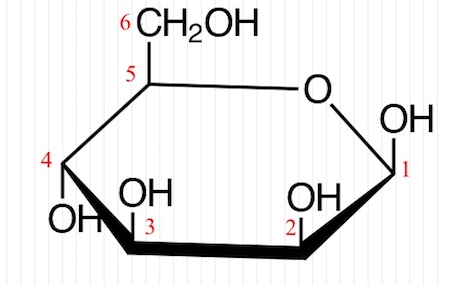 Drawing the Haworth Projection of an Aldose from Its Fischer Projection ...