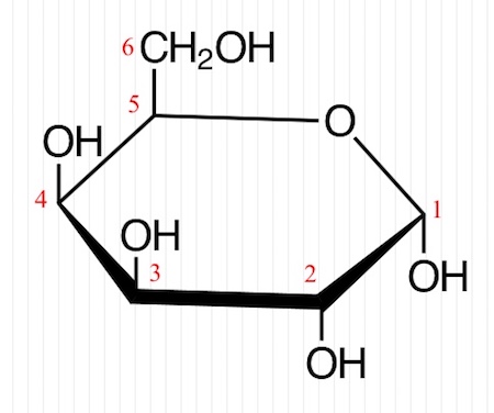 Drawing the Haworth Projection of an Aldose from Its Fischer Projection ...
