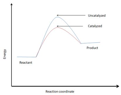 Determining How a Catalyst Increases Rate of a Reaction by Lowering the ...