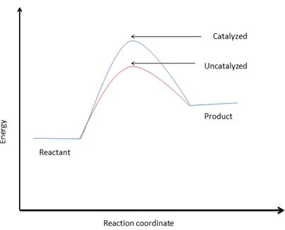 Determining How a Catalyst Increases Rate of a Reaction by Lowering the ...