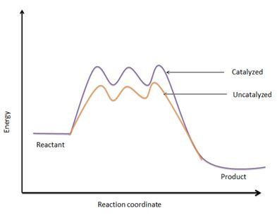 Determining How a Catalyst Increases Rate of a Reaction by Lowering the ...
