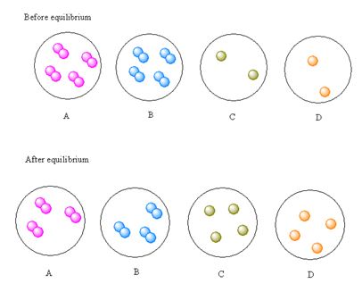 Representing a System Undergoing a Reversible Reaction with a ...