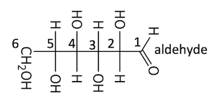 Drawing the Haworth Projection of an Aldose from Its Fischer Projection ...