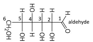 Drawing the Haworth Projection of an Aldose from Its Fischer Projection ...