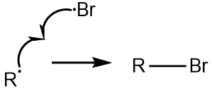 Write the structures of all of the monobromination products of 1,1,3,3 ...