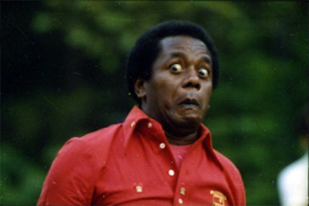 Occipitalis Muscle | Function, Origin & Insertion - Lesson | Study.com