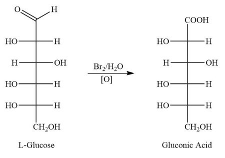 L Lyxose Fischer Projection
