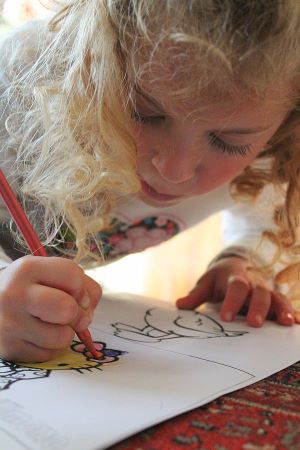 Temperament | Definition, Dimensions & Examples - Lesson | Study.com