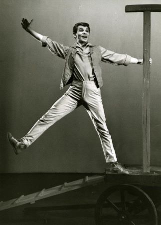 The Fantasticks | Songs, Characters & Synopsis | Study.com