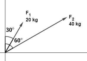 How to Find the Magnitude & Direction Angle of the Resultant Force of ...