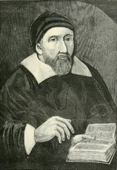 The Witch of Blackbird Pond Chapter 6 Summary | Study.com