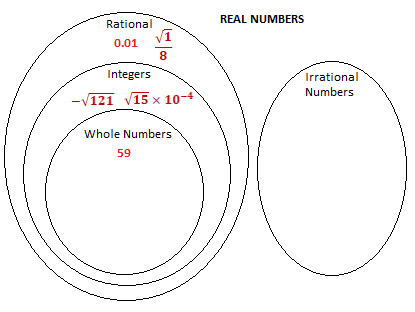 Constructing a Venn Diagram to Classify Real Numbers Practice | Algebra ...