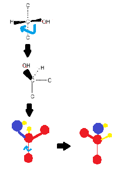 Fischer Projection | Definition & Rules - Lesson | Study.com
