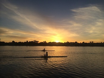 Activities for Developing Basic Movement Patterns - Lesson | Study.com