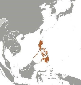 Ilocano People | History, Culture & Language | Study.com