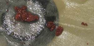 Copper I Oxide | Overview, Properties & Formula | Study.com