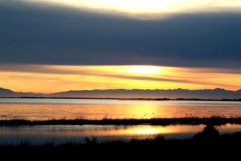 Lagoon Lesson for Kids: Definition & Facts | Study.com