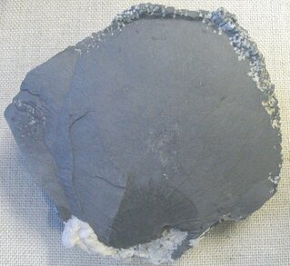 Heavy Metals | Overview & Examples | Study.com