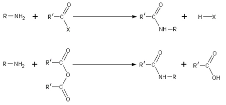 Amine Structure, Properties & Examples - Lesson | Study.com