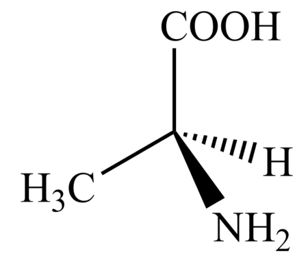 Alanine, an amino acid found in proteins, is chiral. Draw the two ...