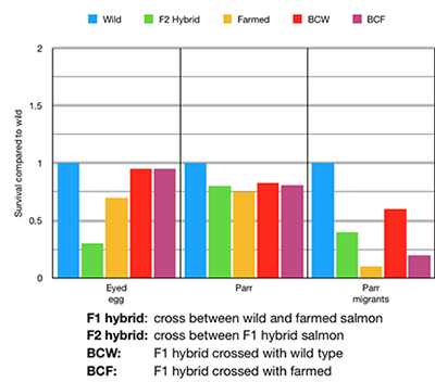 Analyzing the Occurrence of Extinction throughout History Practice ...