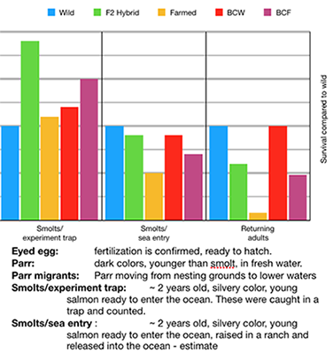 Analyzing the Occurrence of Extinction throughout History Practice ...