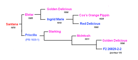 Cultivar | Definition, Types & Examples - Lesson | Study.com
