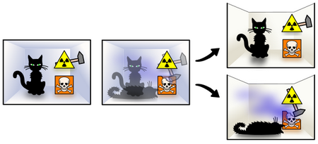 The Measurement Problem | Definition, Interpretations & Example | Study.com