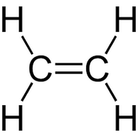 Quiz & Worksheet - Ethane | Study.com