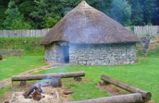 Wolf Brother Summary | Study.com