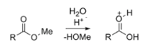 Acid-Catalyzed Ester Hydrolysis: Procedure & Mechanism - Video & Lesson ...