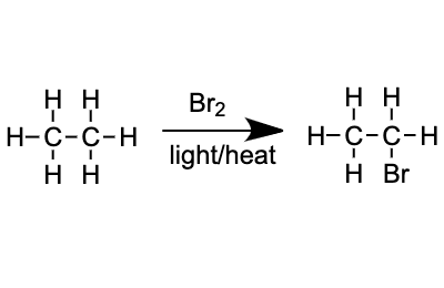 What are all the possible products for the following alkane ...