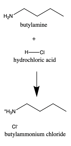 Write an equation for the reaction of butylamine with hydrochloric acid ...