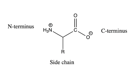 Cysteine