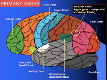 Grapheme-Color Synesthesia | Definition, Causes & Symptoms | Study.com