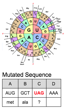 Analyzing Amino Acid Protein Sequences and DNA Nucleotide Sequences to ...